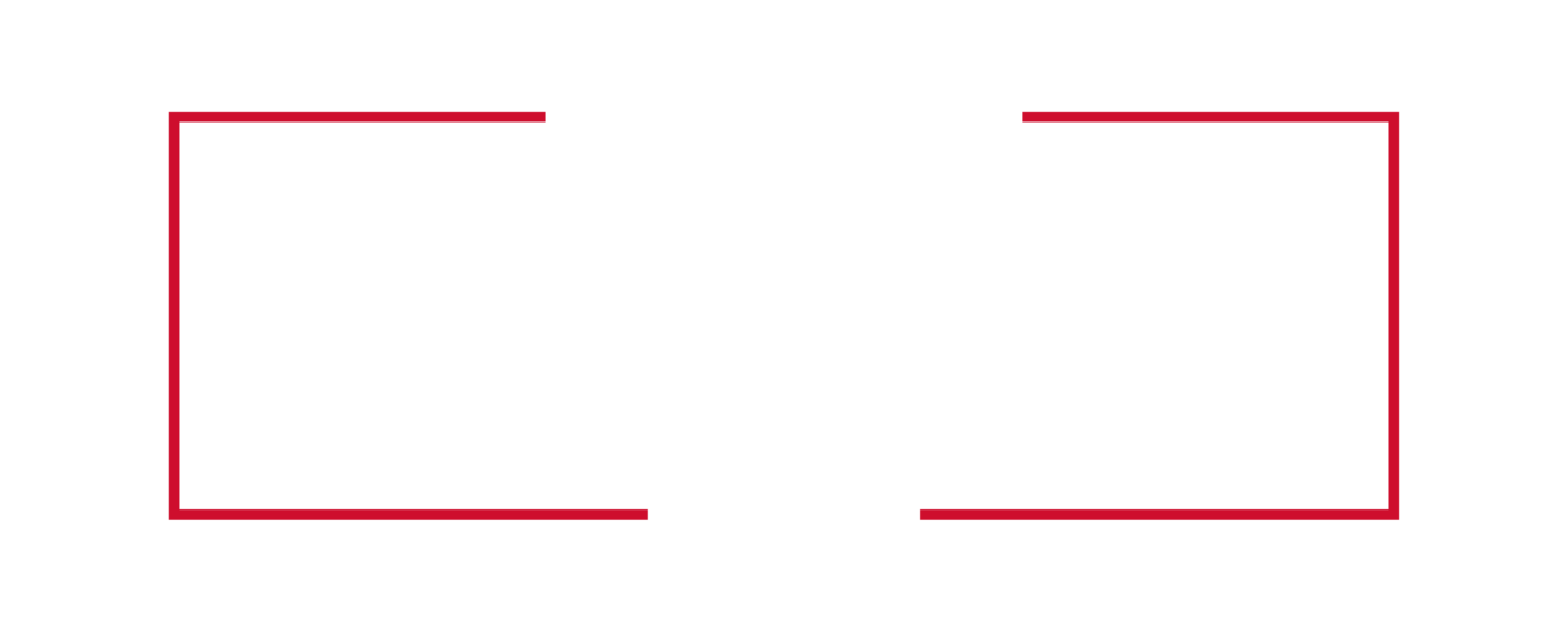 Swamp the Vote USA
