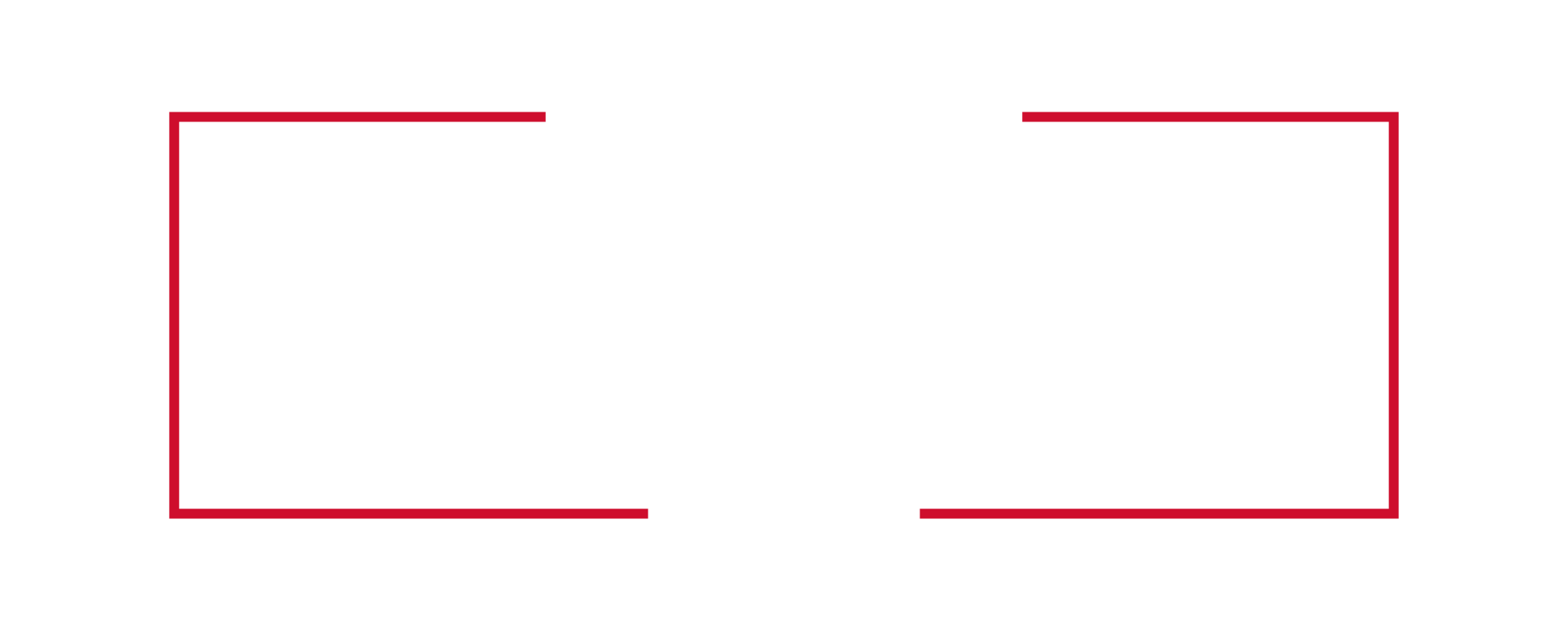 Swamp the Vote USA