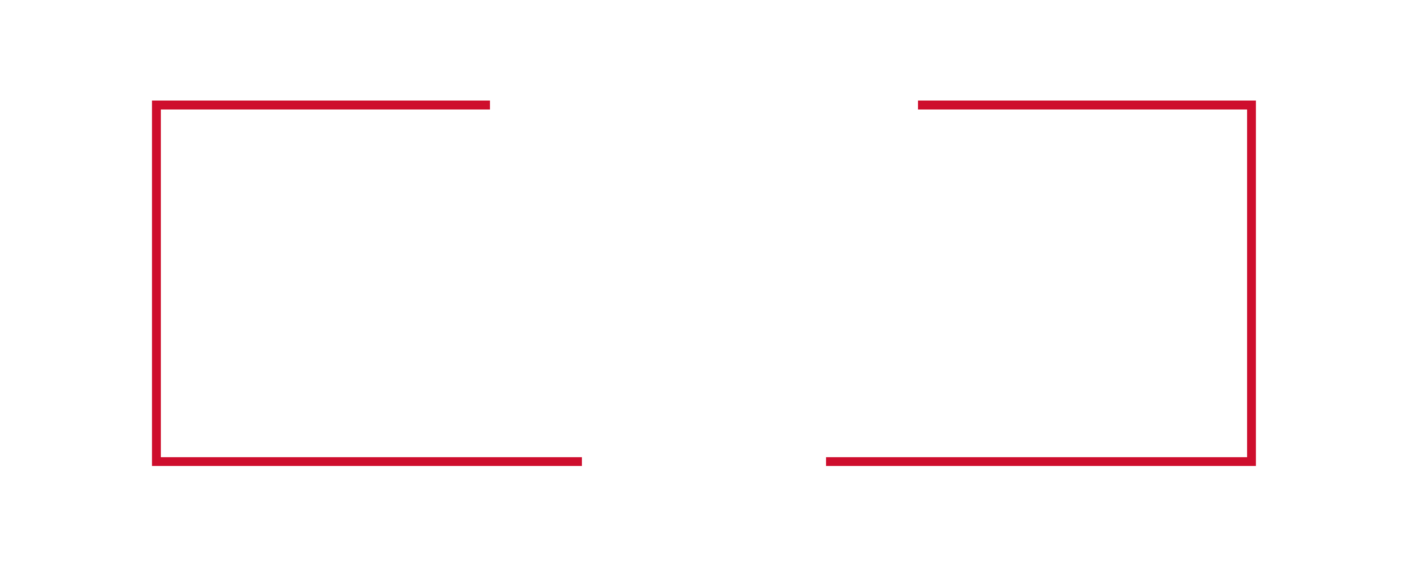 Swamp the Vote USA